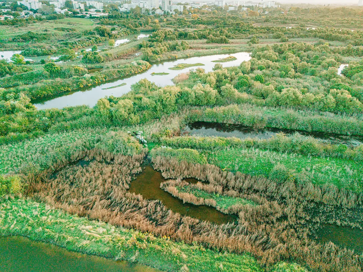 Tous les parcours Terra Aventura à La Rochelle et alentours - Nous La ...